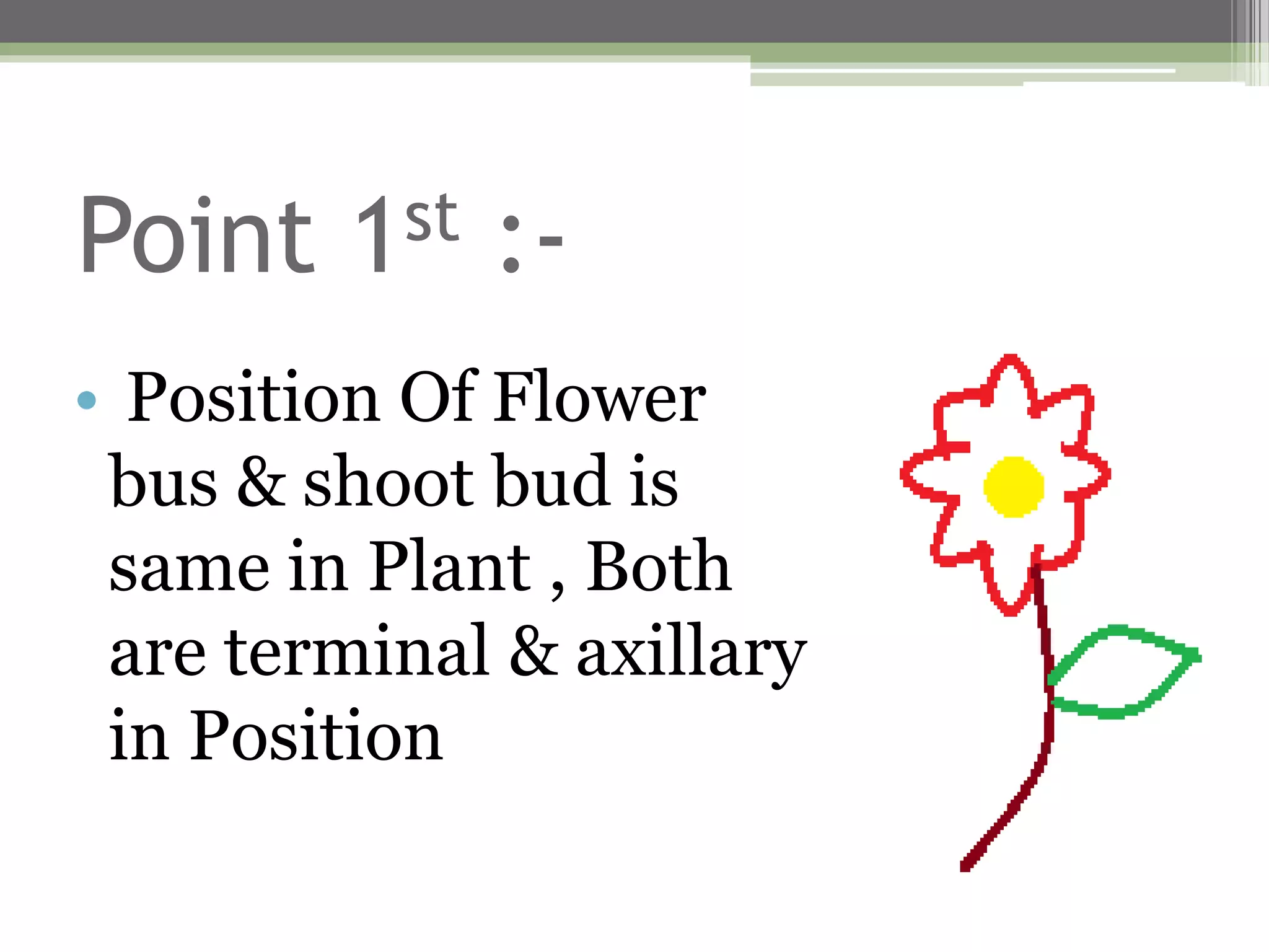 Flower is modified Shoot | PPTX