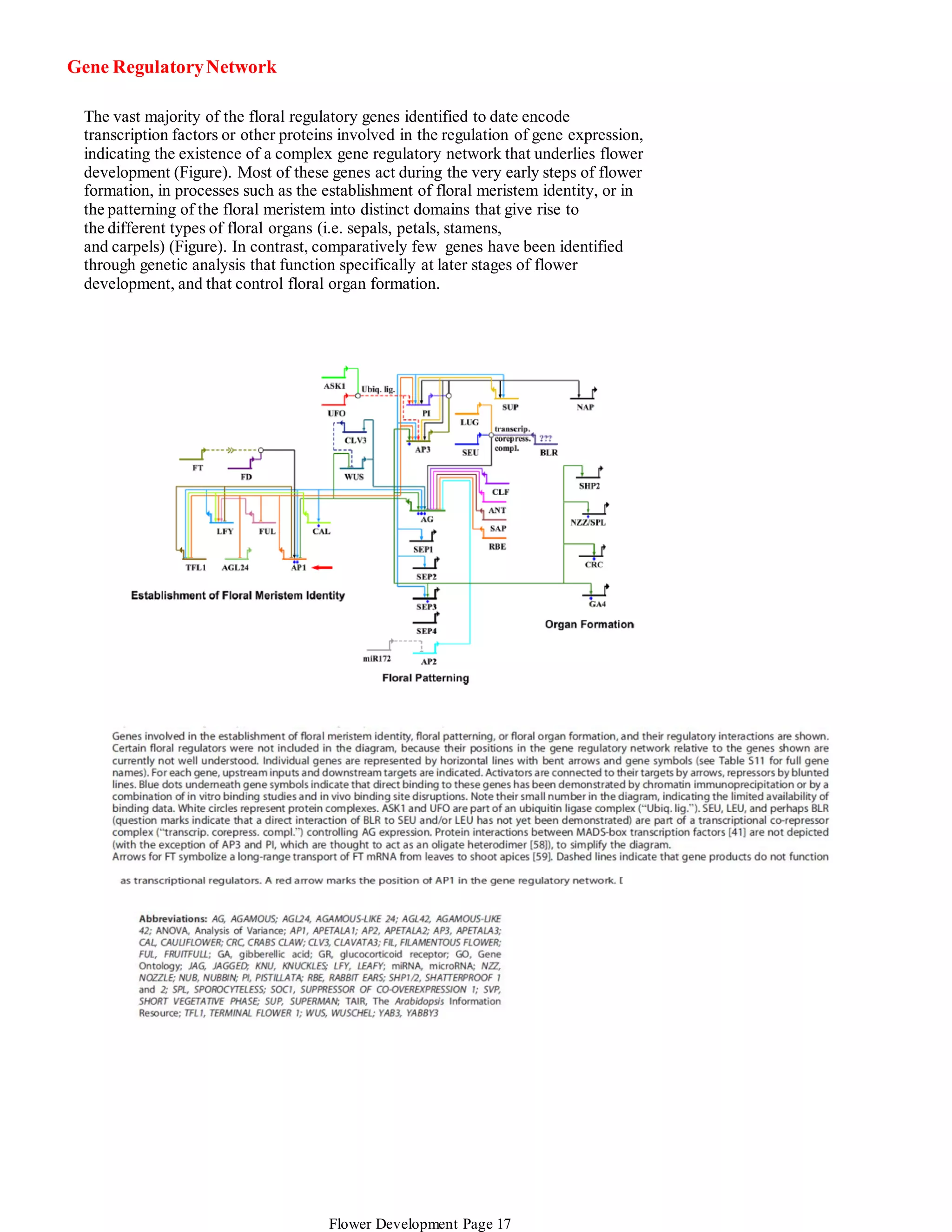 Flower morphology and molecular mechanism of flower development | PDF