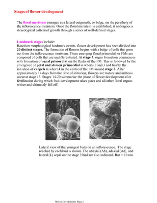 Flower morphology and molecular mechanism of flower development | PDF