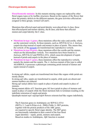 Flower morphology and molecular mechanism of flower development | PDF