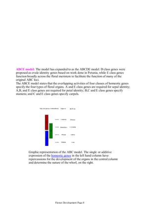 Flower morphology and molecular mechanism of flower development | PDF