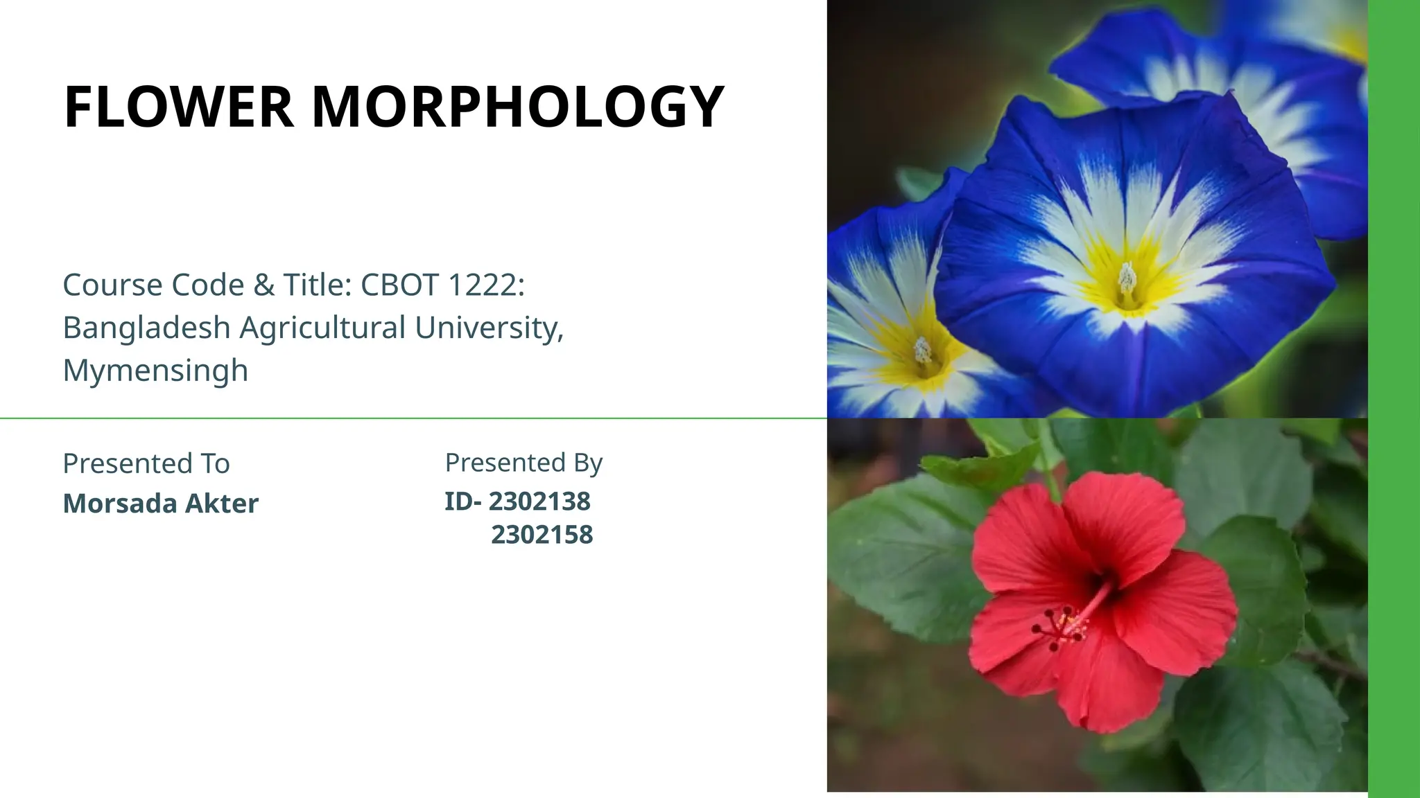 FLOWER MORPHOLOGY of different flowers Crop Botany | PPT