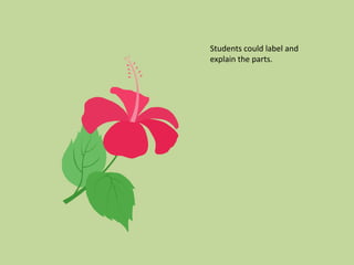 Flower parts | PPTX