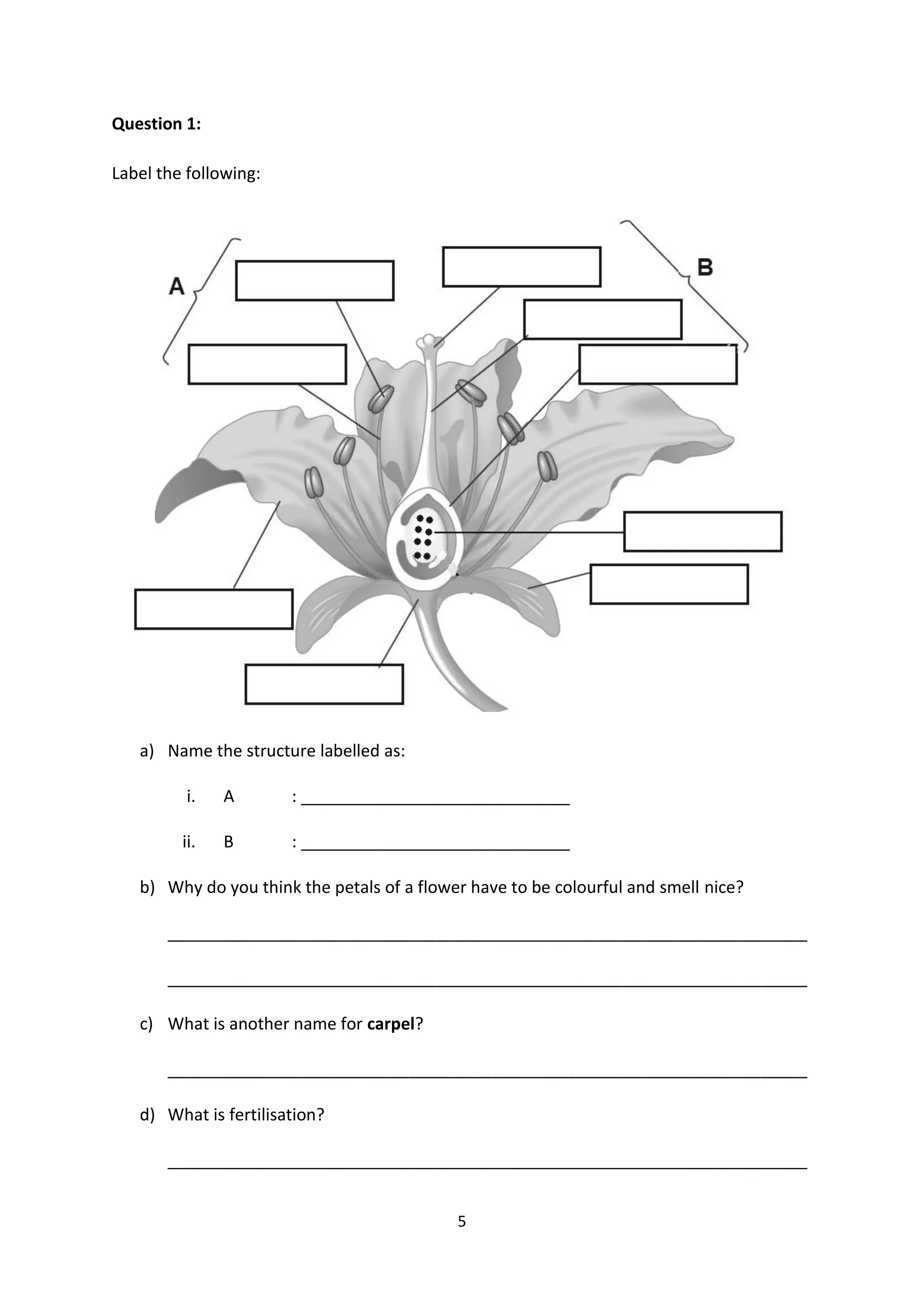 Flower parts and its functions | PDF