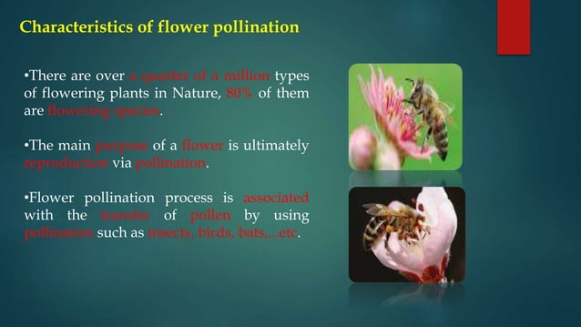 Flower pollination algorithm (Population based algorithm) | PPTX ...
