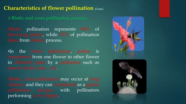 Flower pollination algorithm (Population based algorithm) | PPTX | Gardening | Home & Garden
