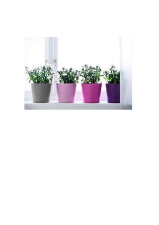 Flower pots and planters | PDF