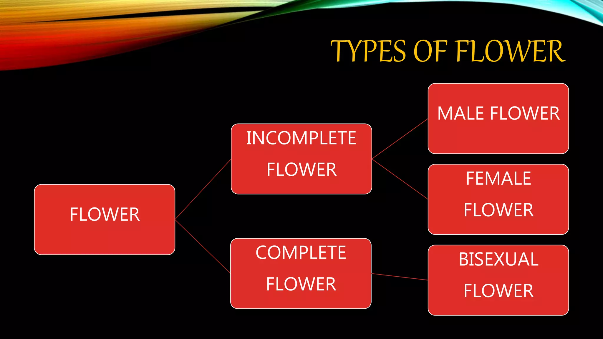 Flower ppt | PPTX