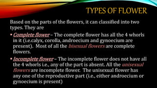 Flower ppt | PPT