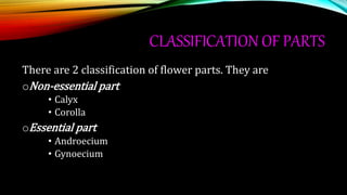 Flower ppt | PPTX