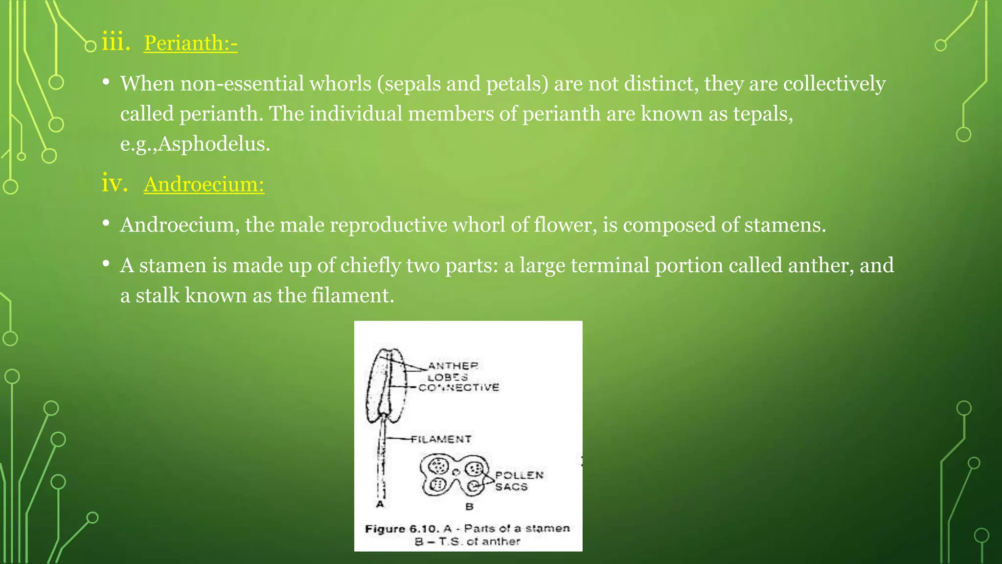 Basic concept on flower | PPTX