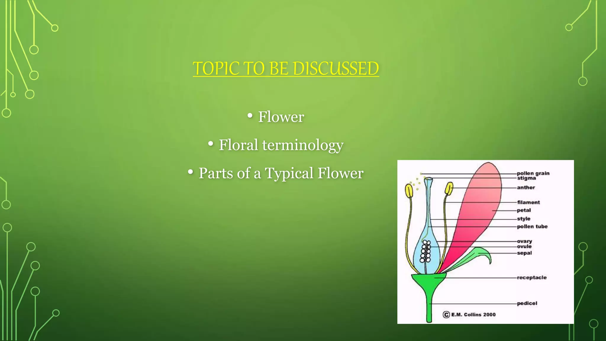 Basic concept on flower | PPTX