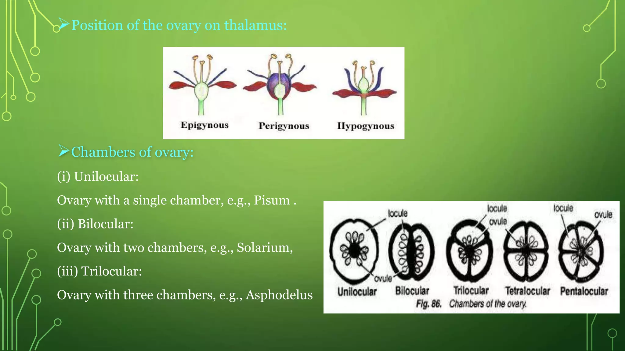 Basic concept on flower | PPTX