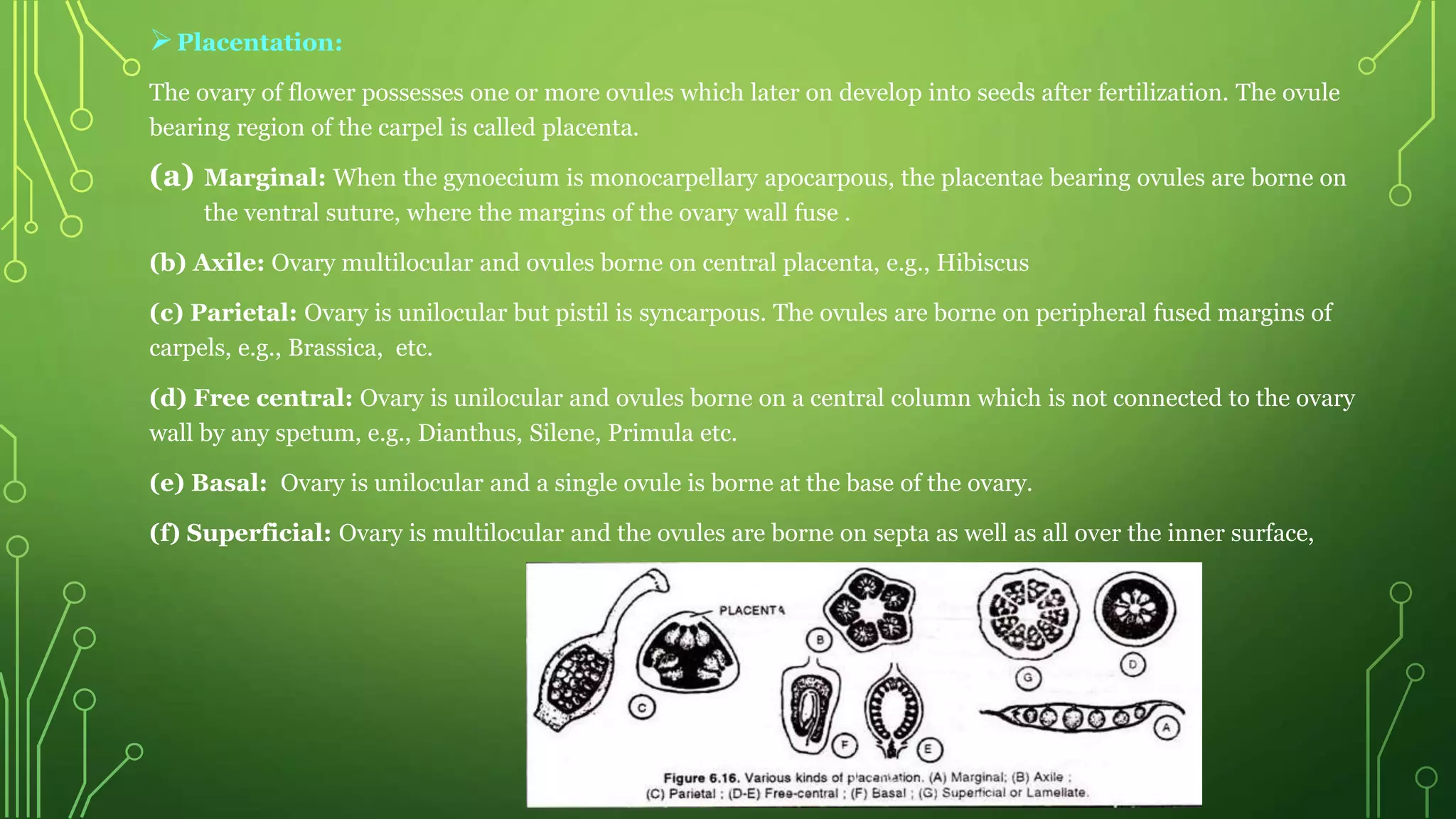 Basic concept on flower | PPTX