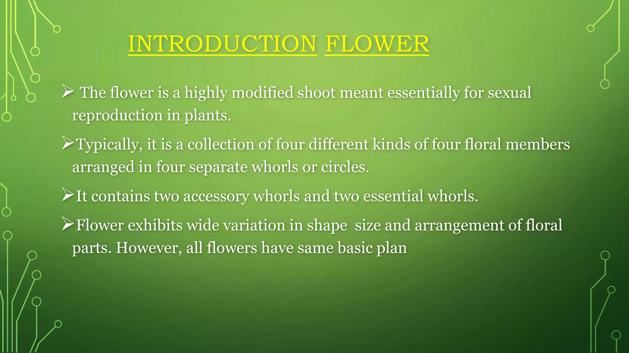 Basic concept on flower | PPTX