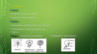 Basic concept on flower | PPT