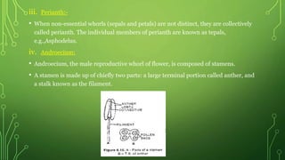 Basic concept on flower | PPT