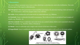 Basic concept on flower | PPT