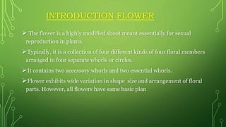 Basic concept on flower | PPT