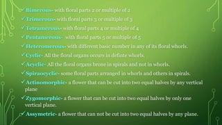 Basic concept on flower | PPT