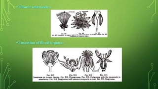Basic concept on flower | PPTX