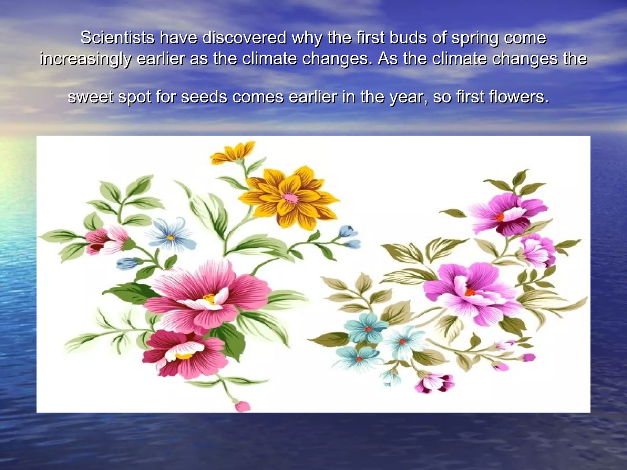 Flower presentations | PPT