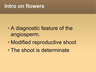 Flowers | PPT