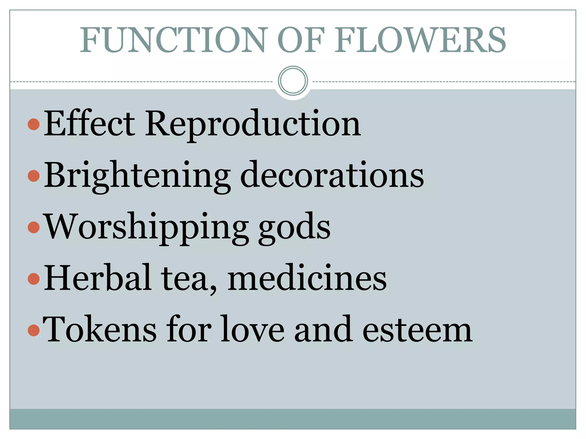 Flowers | PPTX
