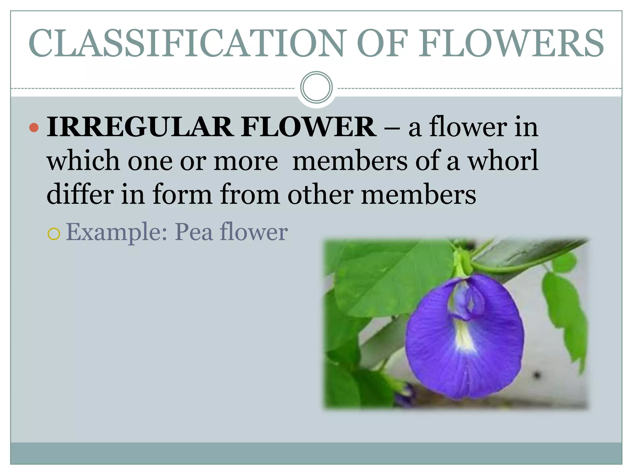 Flowers | PPTX