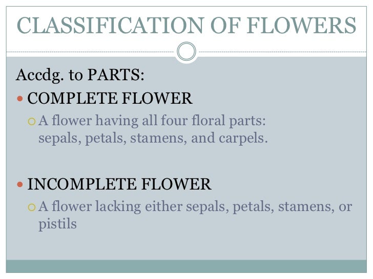 Flowers flowers