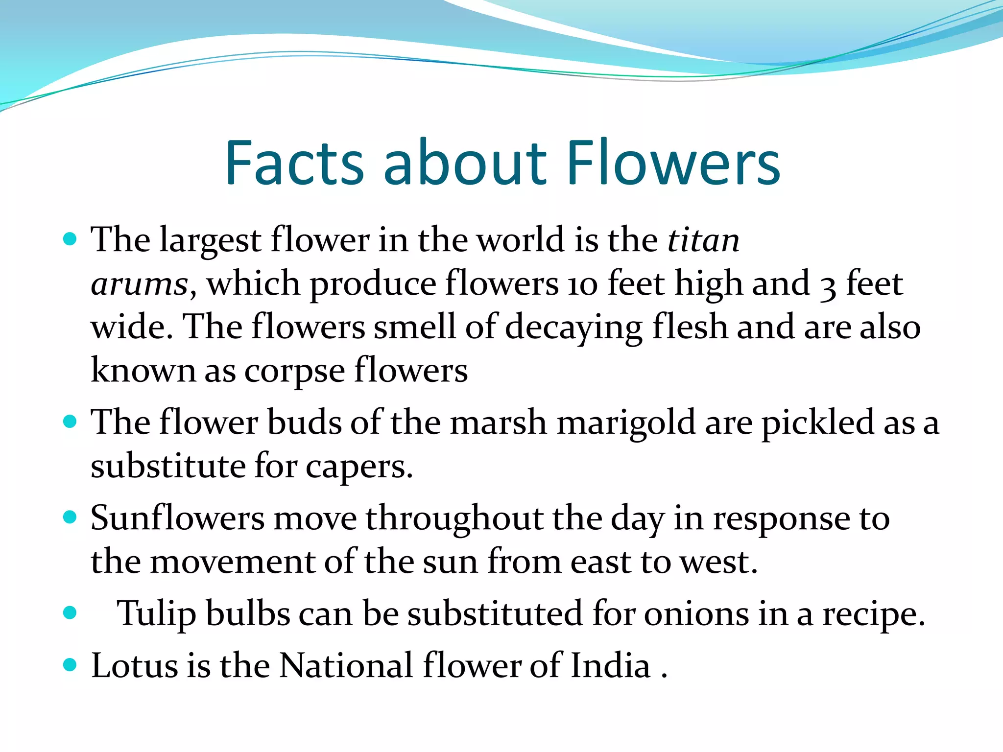 Flowers PPT by Aditya Sharma | PPTX