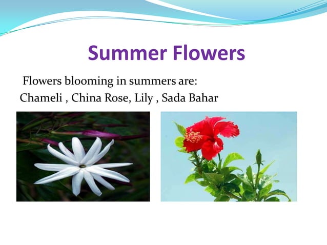 Flowers PPT by Aditya Sharma | PPTX