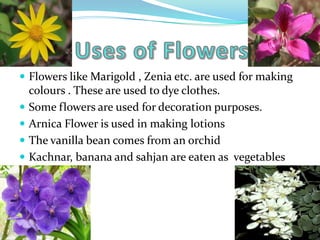 Flowers PPT by Aditya Sharma | PPTX