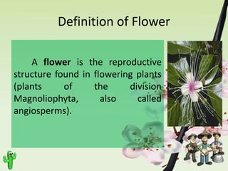 Flowers | PPTX