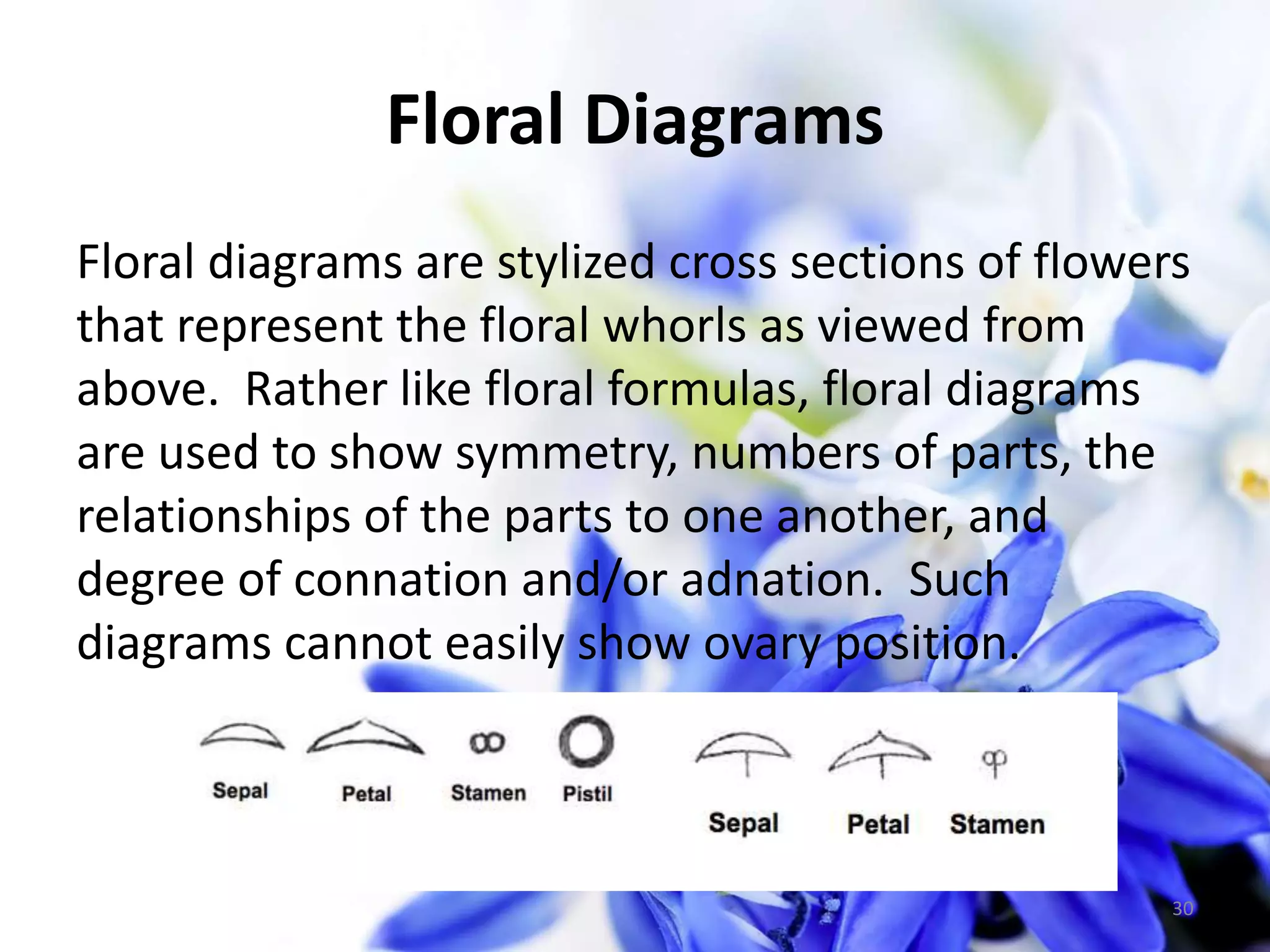 Flowers | PPTX
