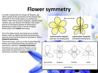 Flowers | PPTX