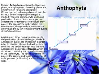 Flowers | PPTX | Gardening | Home & Garden