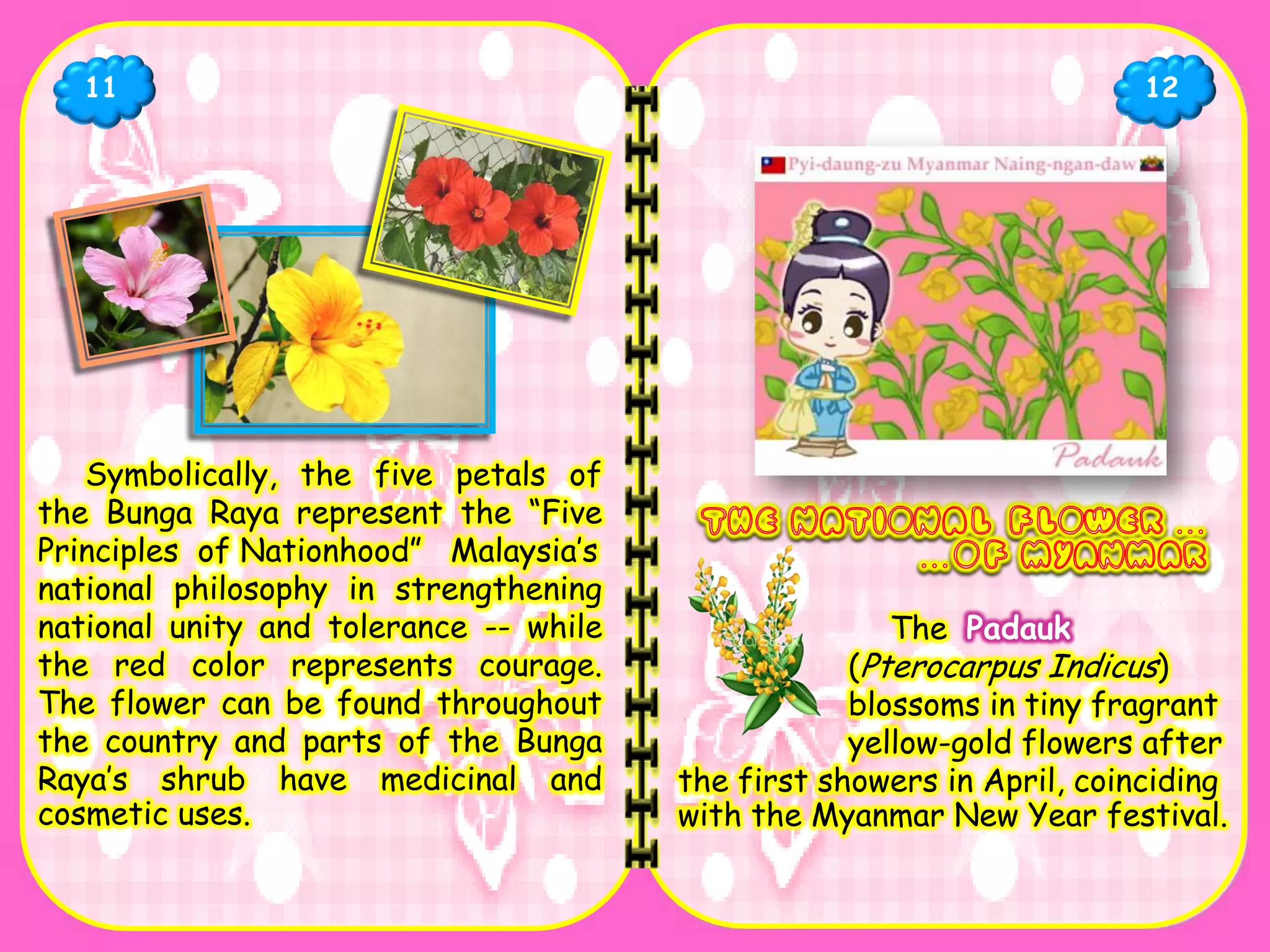 National Flowers of ASEAN Countries | PDF