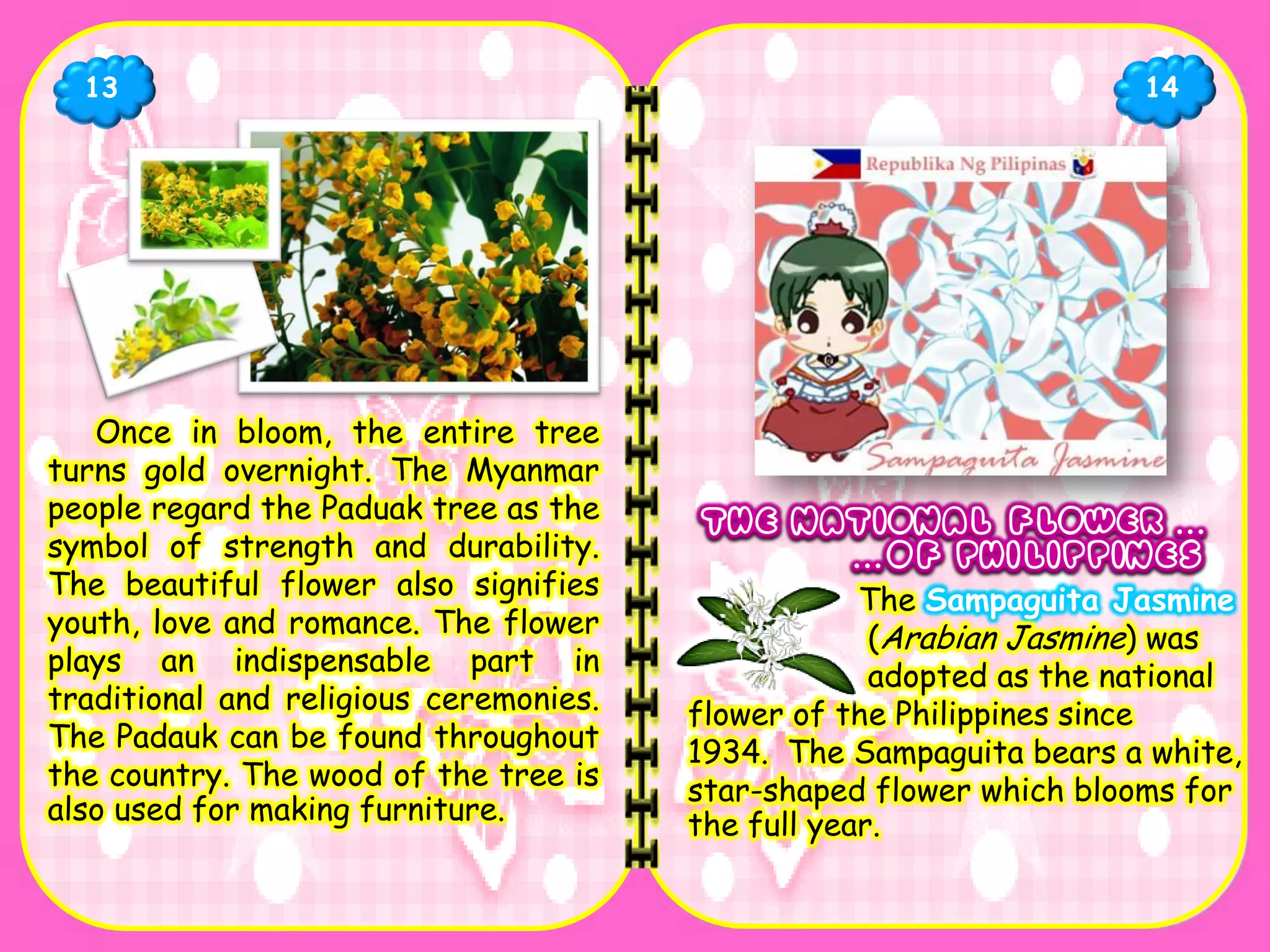 National Flowers of ASEAN Countries | PDF