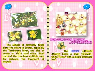 National Flowers of ASEAN Countries | PDF