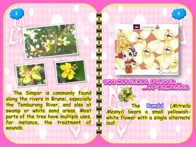 National Flowers of ASEAN Countries | PDF | Flower Shopping | Shopping