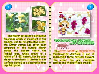 National Flowers of ASEAN Countries | PDF
