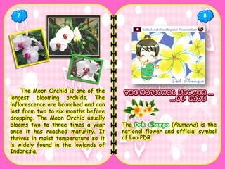 National Flowers of ASEAN Countries | PDF