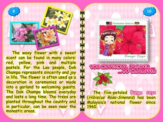 National Flowers of ASEAN Countries | PDF