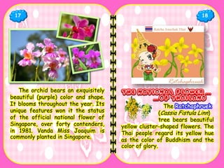 National Flowers of ASEAN Countries | PDF