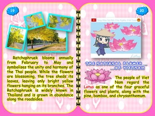National Flowers of ASEAN Countries | PDF