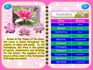National Flowers of ASEAN Countries | PDF