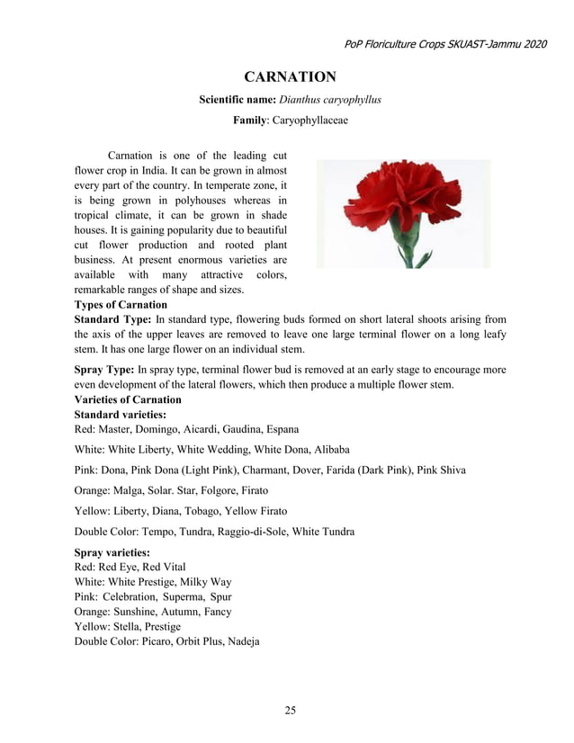 Flowers | PDF