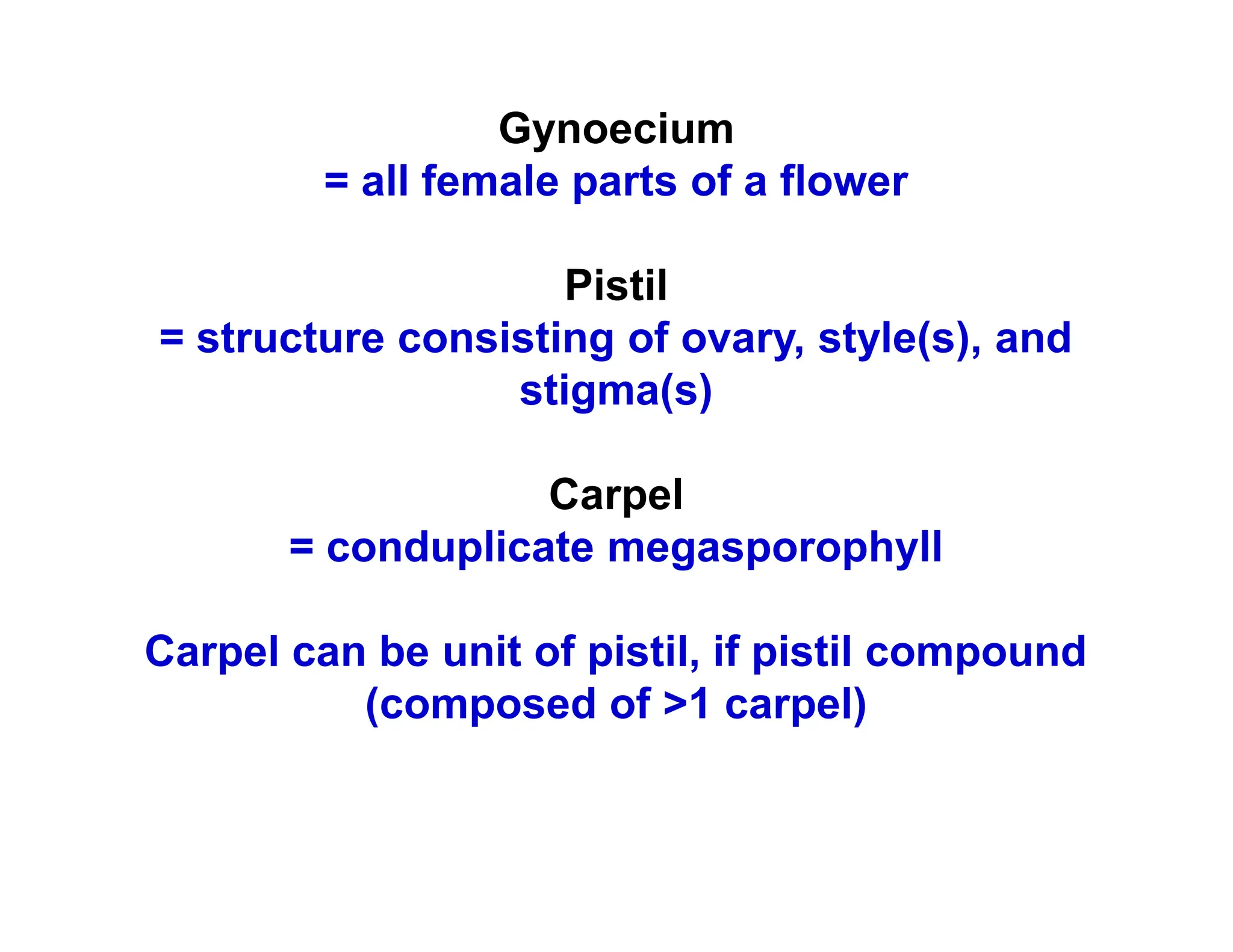 Morphology of Flower Morphology of Flower | PDF
