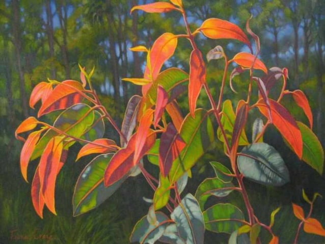 Flowers, by Australian painter Fiona Craig